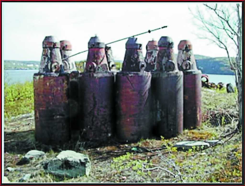 andreyevabottle - Bellona.org