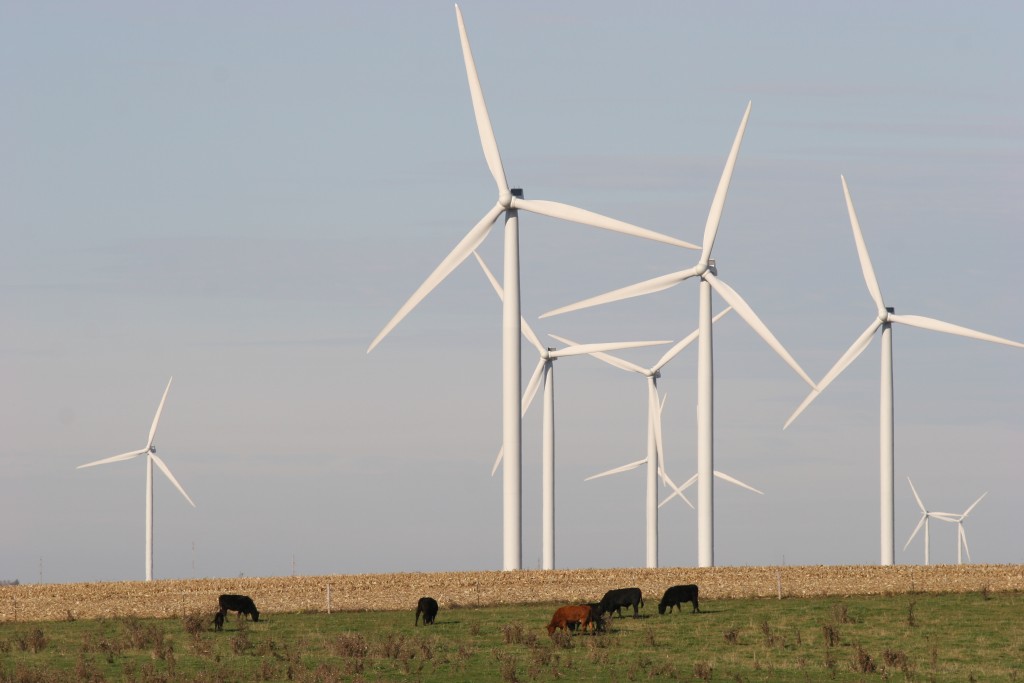 wind header - Bellona.org